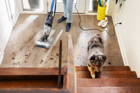 Portable Spot Cleaners – Bissell NZ